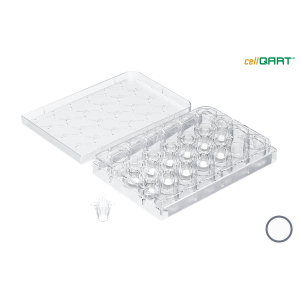 cellQART 24-Well Cell Culture Insert Half Pre-Loaded in Well Plate, PET ...