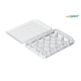 cellQART 12-Well Empty Plate, 12 Cell Culture Inserts Max
