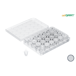 Pre-loaded 24-Well 0.4µm Cell Culture Insert Plate, Clear Ext